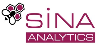 SINA Analytics Schnellstart